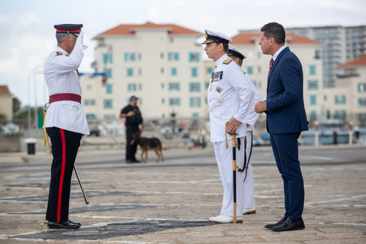 HM King Charles III Accession To The Throne 21 Gun Royal Salute – Cyber ...